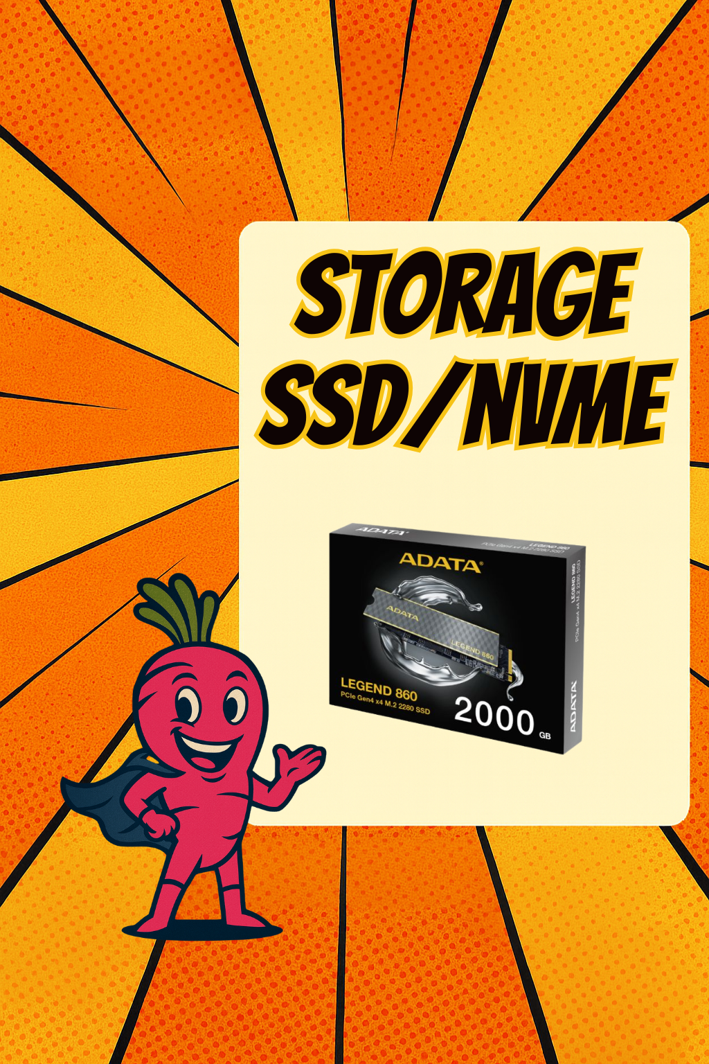 Internal SSD Drives – Pink Parsnip Computers