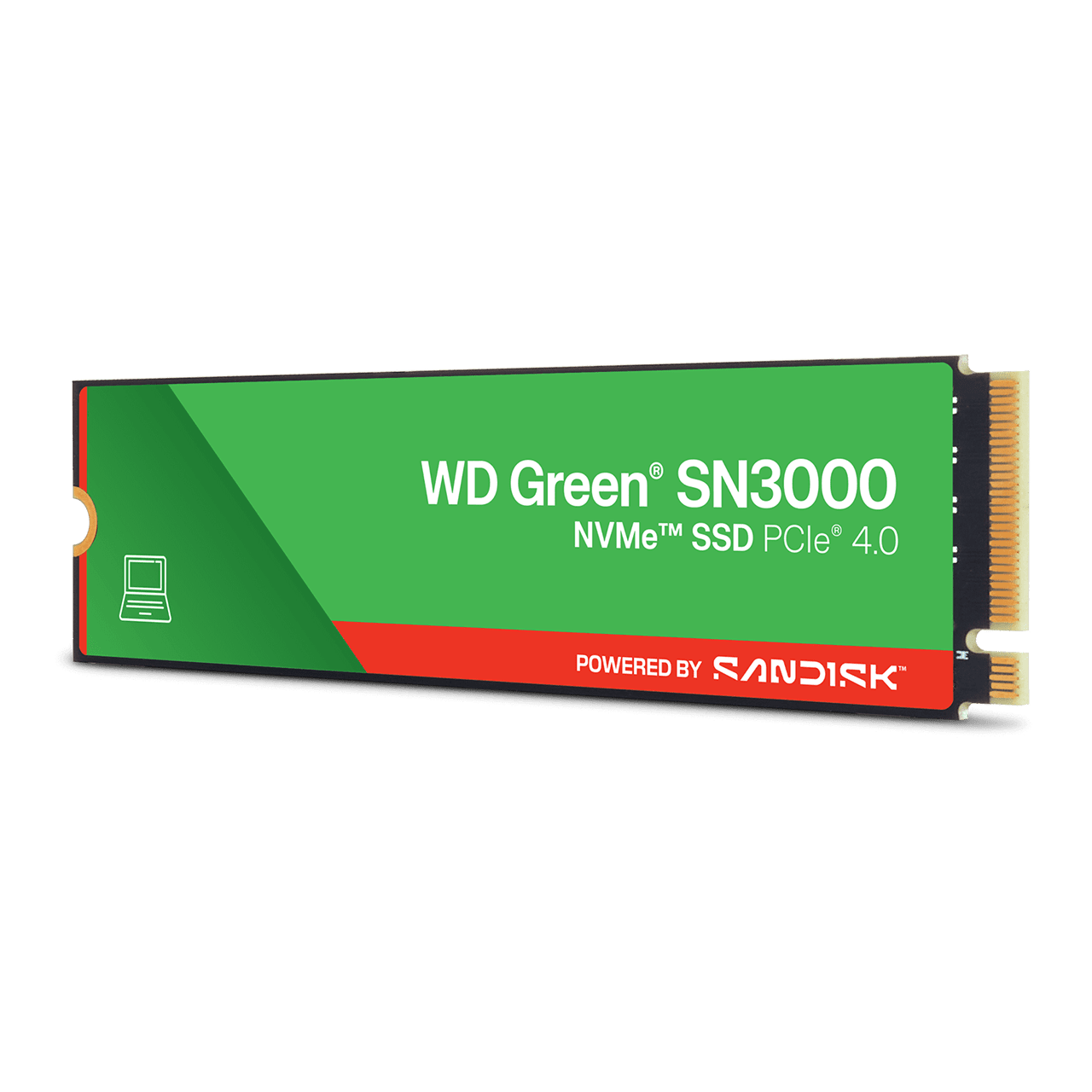 WD SSD GREEN SN3000 M.2 SATA 500GB – Pink Parsnip Computers